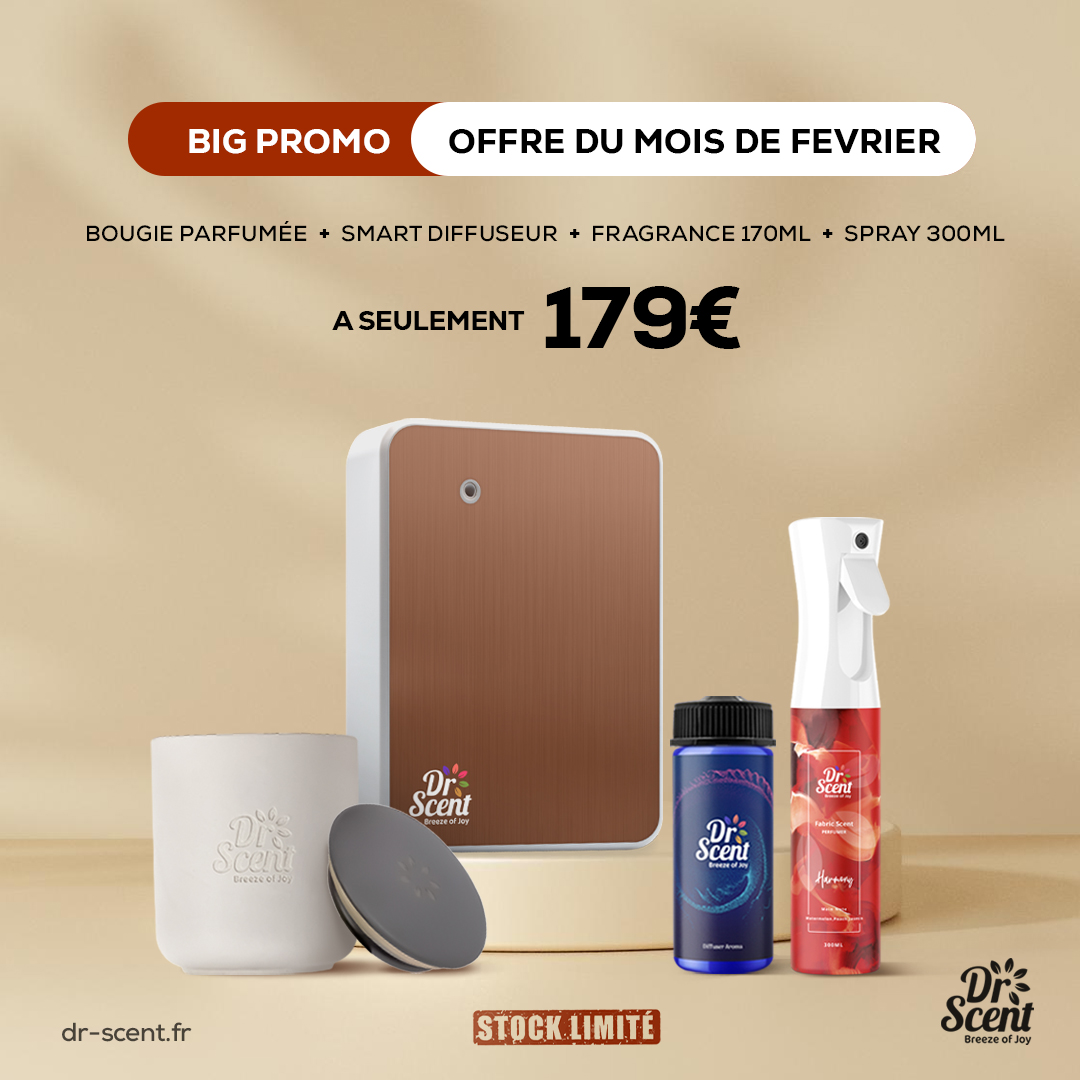 Diffuseur de parfum professionnel - DR-SCENT